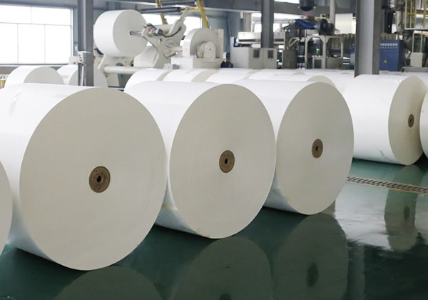 Paper Cup Raw Material, Food Container Paper, Custom Food Packaging ...